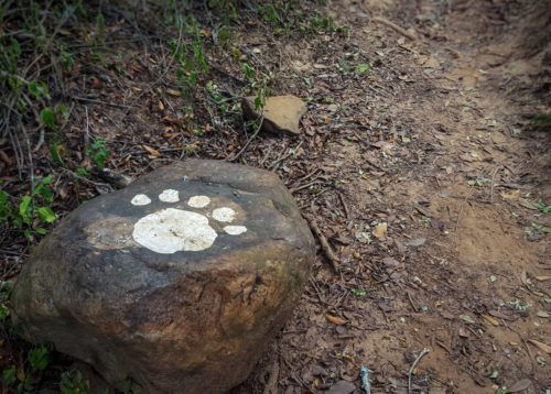 Groendal Nature Reserve - OutdoorEco.com - Outdoor Lifestyle